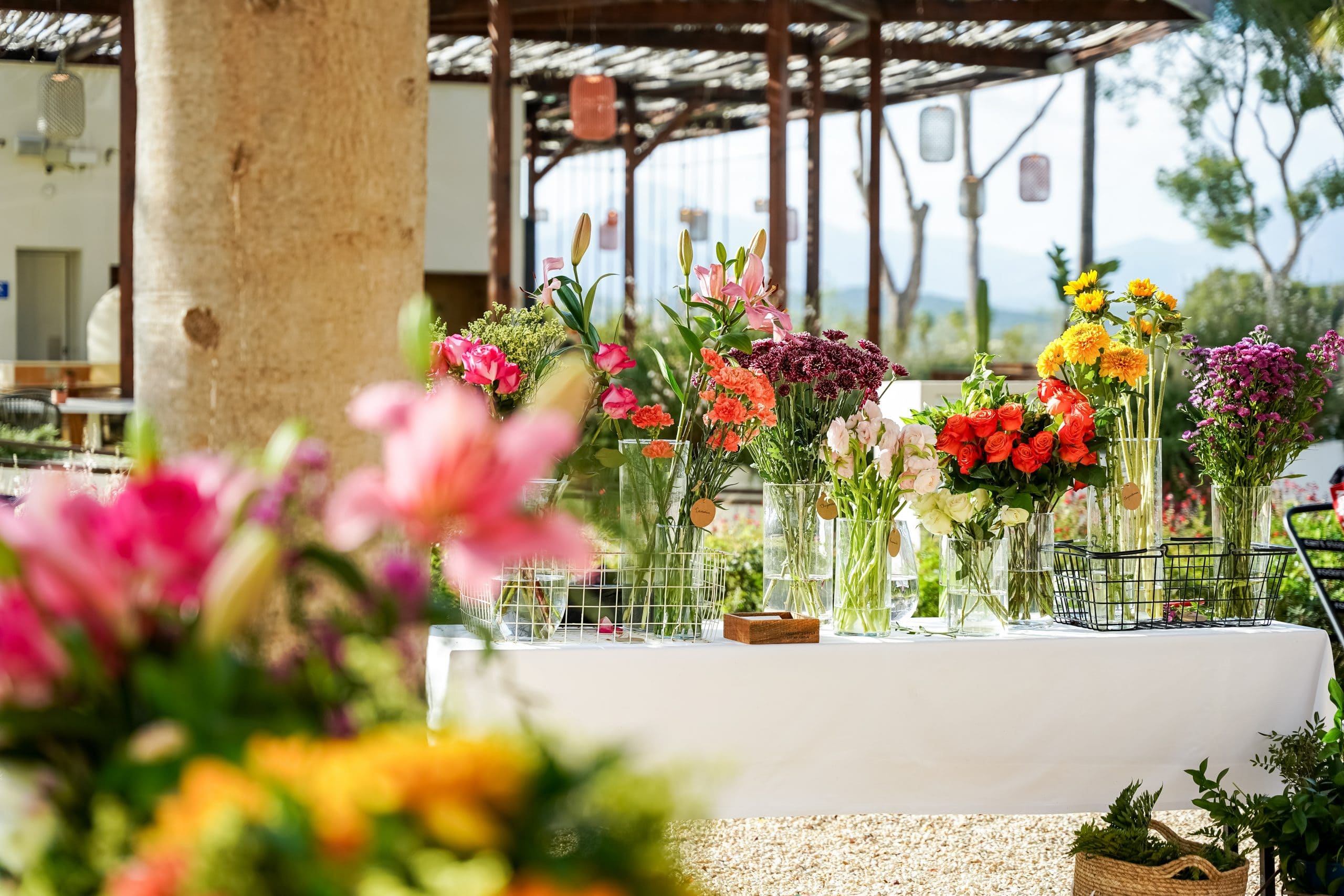 Art & Wine Workshop Mallorca 5-Star | Kimpton Aysla